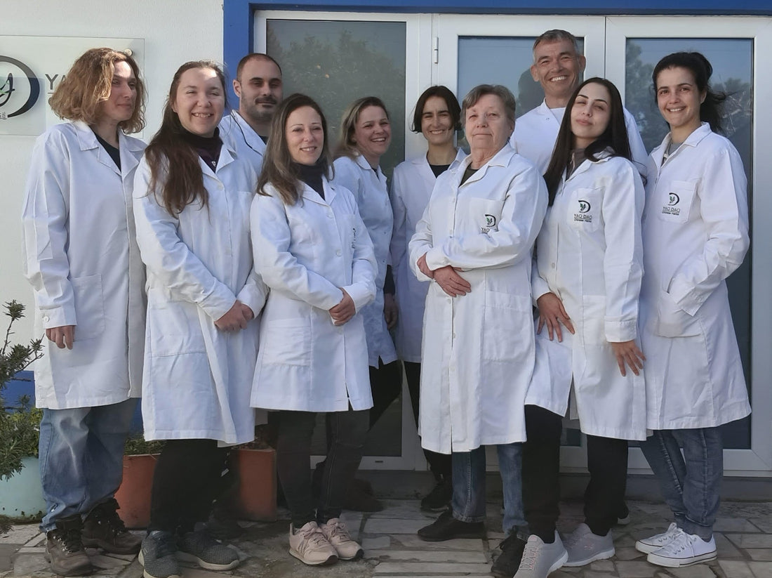 Qui sommes-nous – Alma Natura